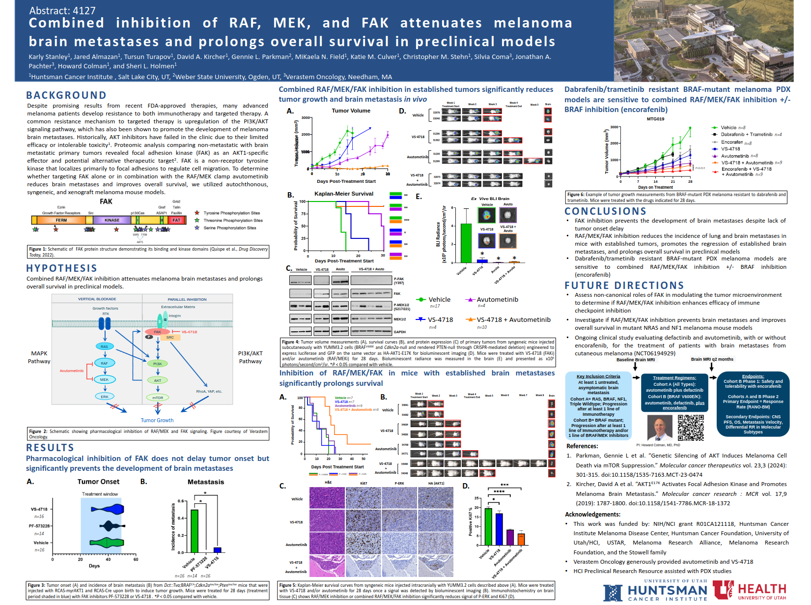 Combined inhibition of RAF, MEK, and FAK attenuates melanoma brain ...
