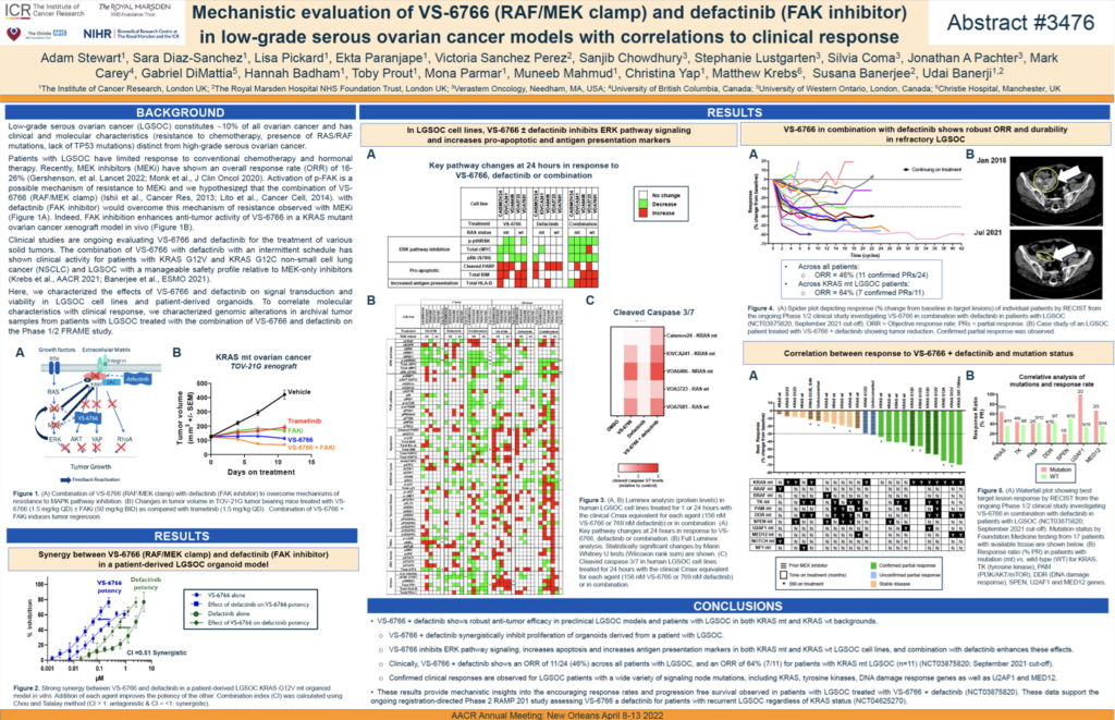 Mechanistic evaluation of Avutometinib (RAF/MEK clamp) and defactinib ...